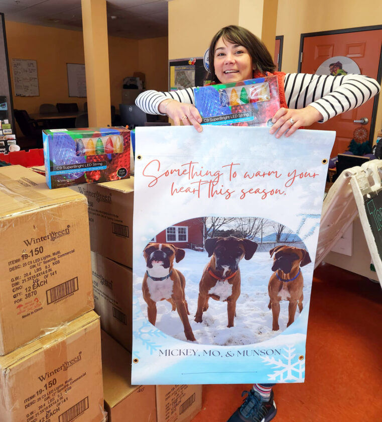 DLH readies for Haven Holidays, tree lighting scheduled for Sunday ...